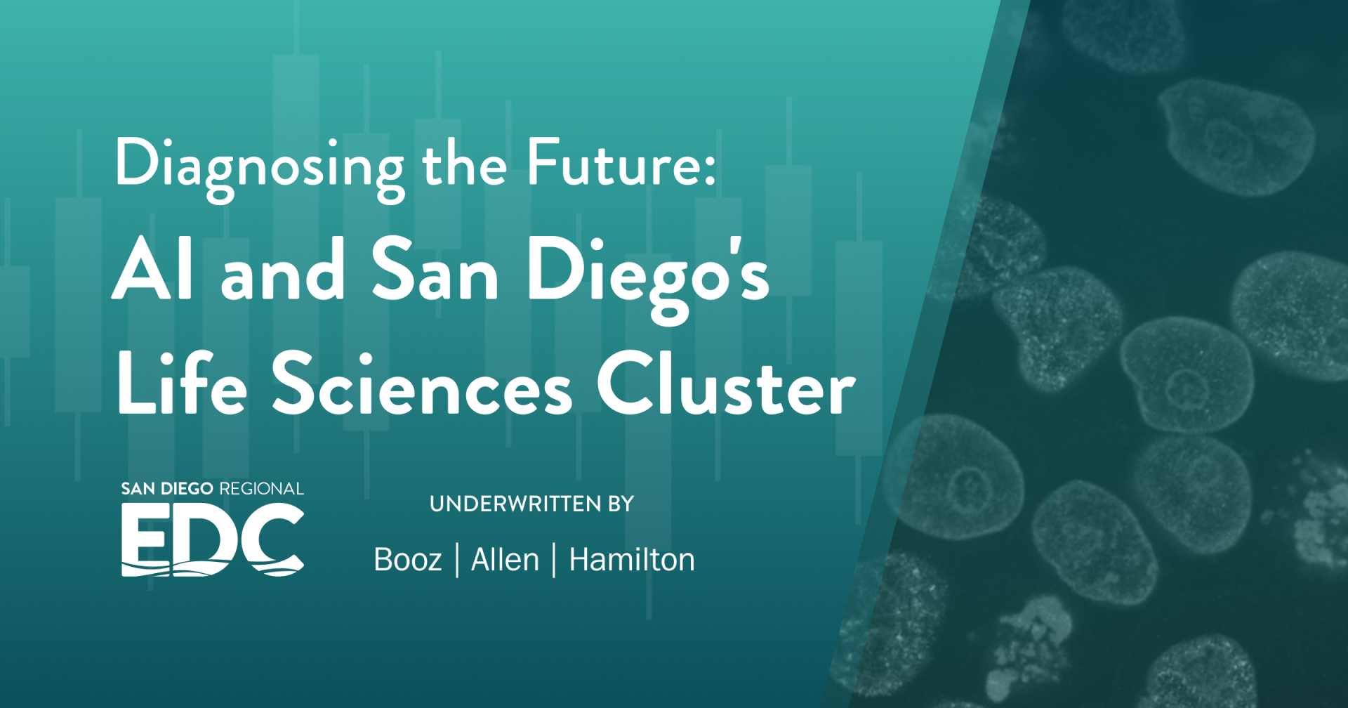 Study: San Diego’s Life Sciences cluster in the early stages of AI-ML ...